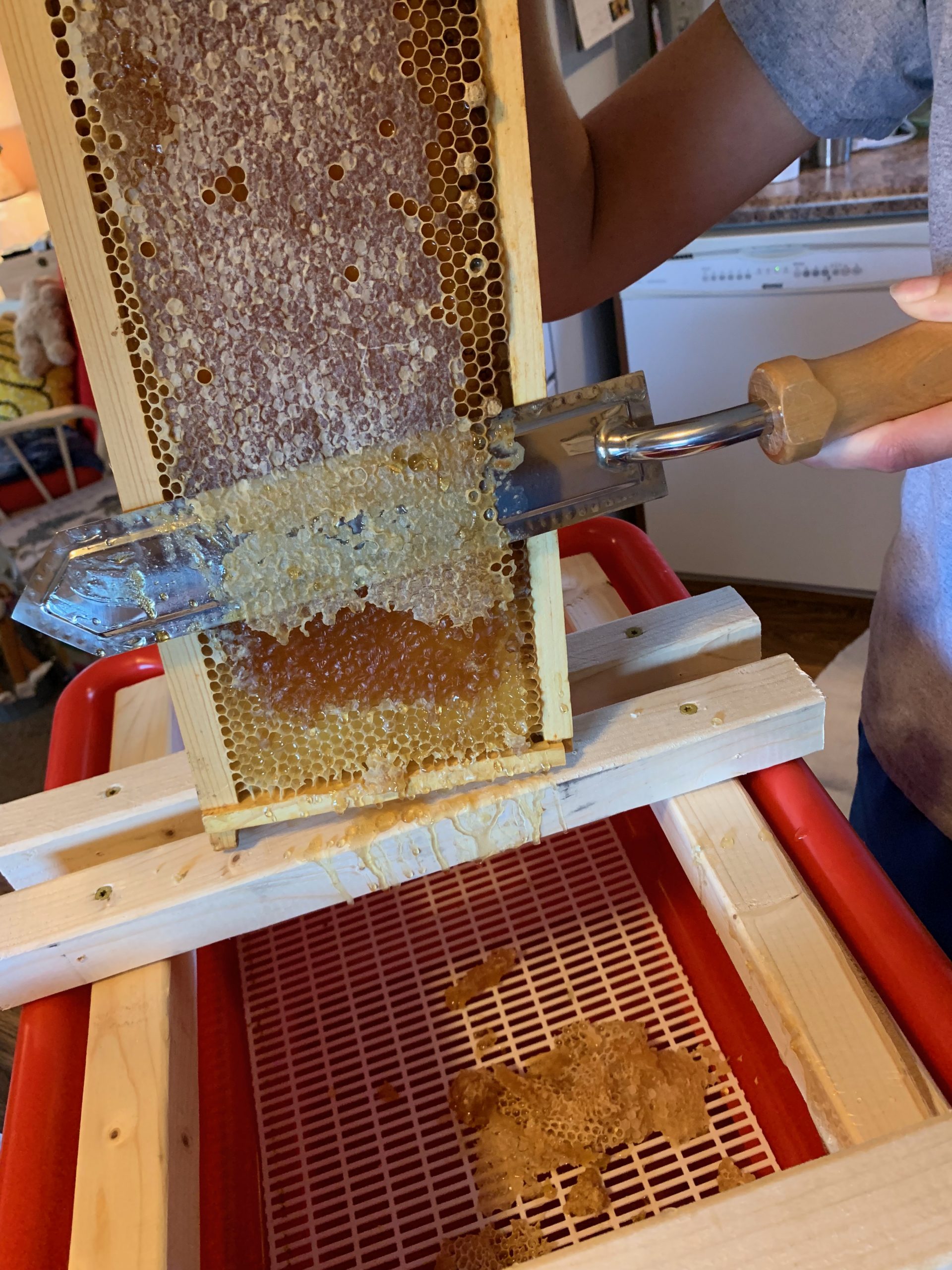 First Year Honey Extraction Equipment - Backyard Beekeeping